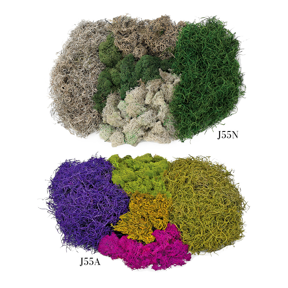 Moss Mix - Floral Supply Syndicate - Floral Gift Basket and Decorative ...