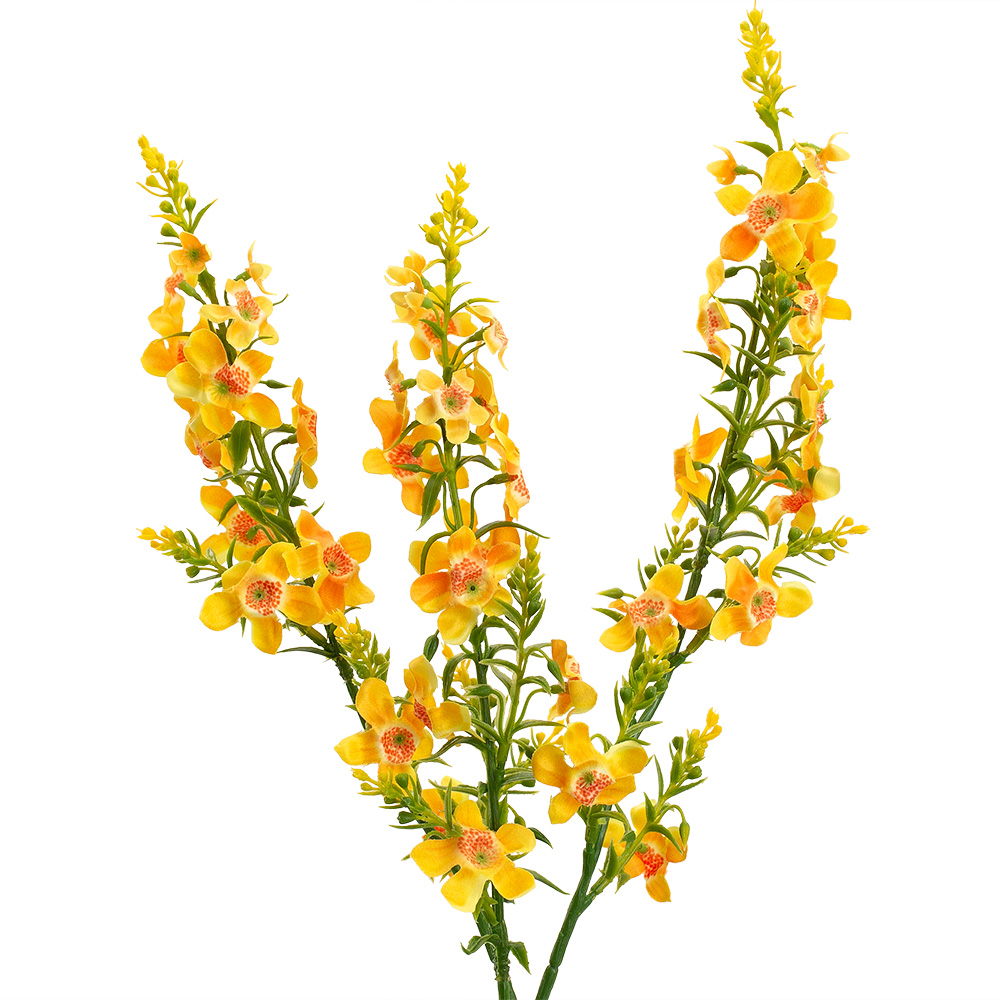 Genestra Flower Yellow | Best Flower Site
