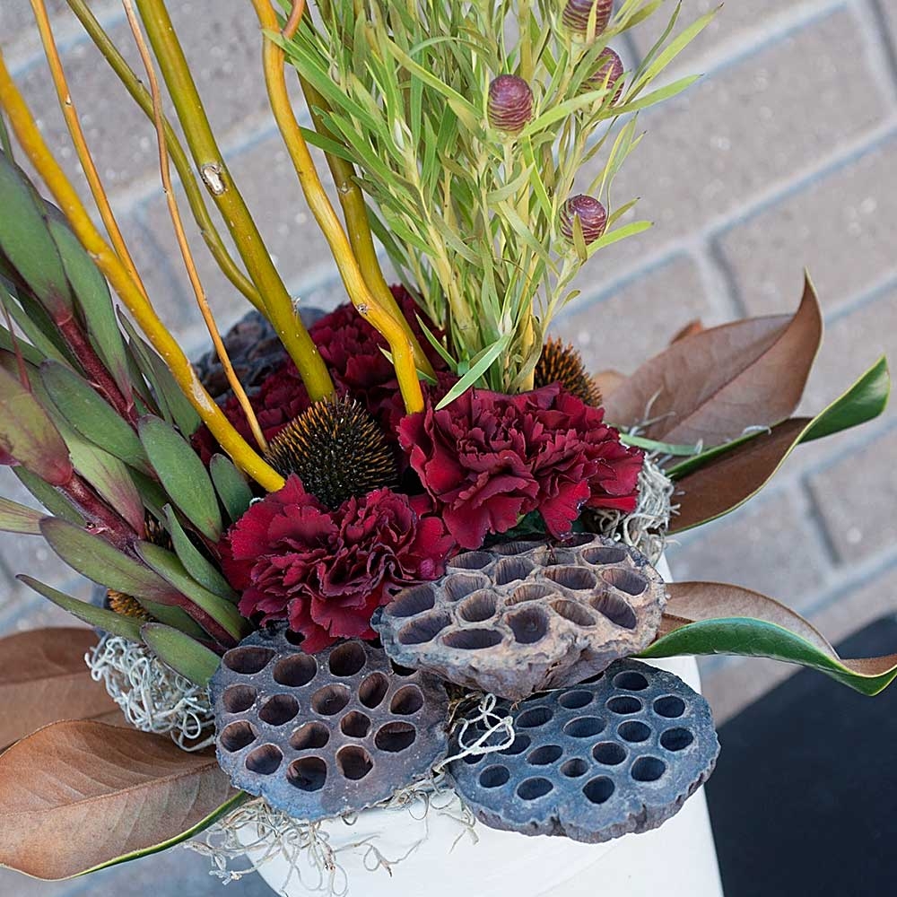 Lotus Pod Heads - Floral Supply Syndicate - Floral Gift Basket and ...